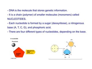 Unit4 biotechnology | PDF