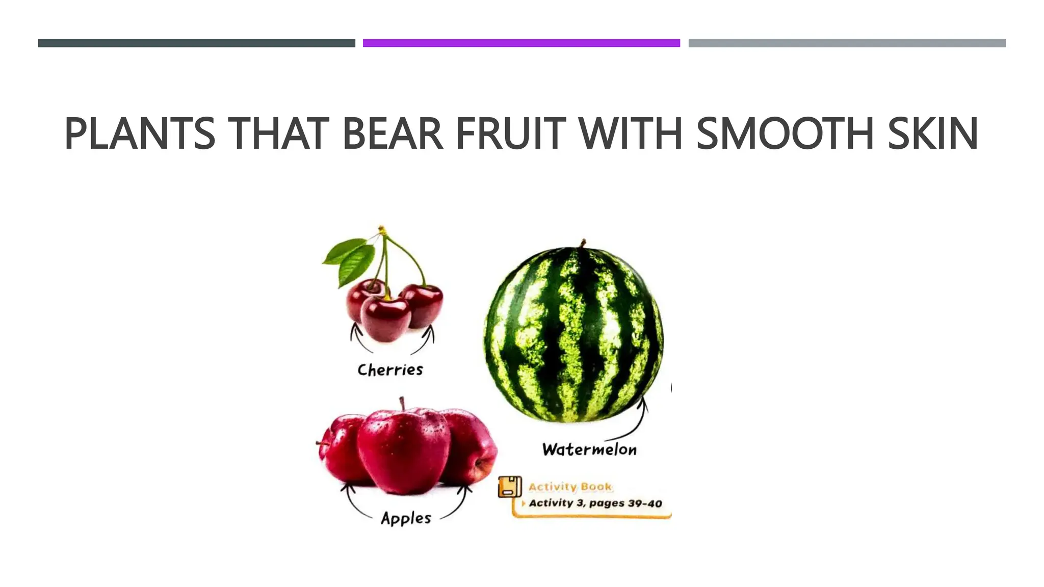 Unit 4 - Classifying plants.pptx