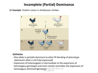 UNIT 4 -Gene_actions_.pdf