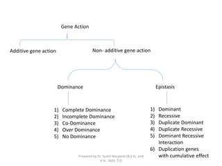UNIT 4 -Gene_actions_.pdf