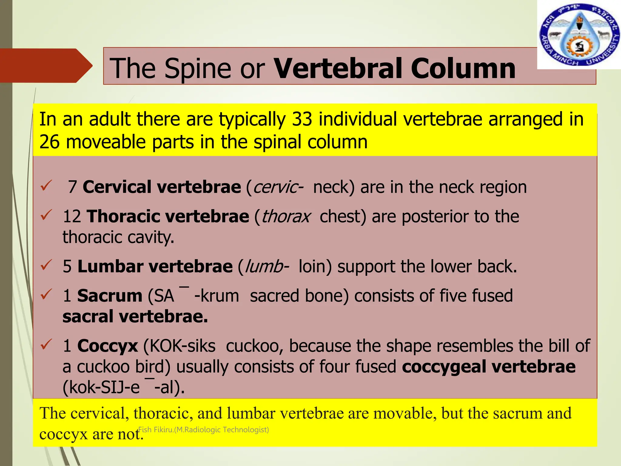 Special Radiographic procedure of spinal cord | PPTX