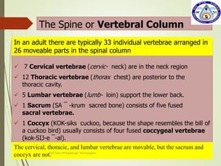 Special Radiographic procedure of spinal cord | PPTX