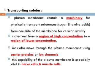 Unit 4-STRUCTURE & FUNCTION OF CELL MEMBRANE.ppt