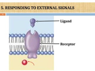 Unit 4-STRUCTURE & FUNCTION OF CELL MEMBRANE.ppt