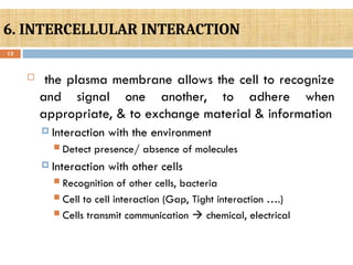 Unit 4-STRUCTURE & FUNCTION OF CELL MEMBRANE.ppt