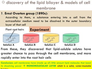Unit 4-STRUCTURE & FUNCTION OF CELL MEMBRANE.ppt