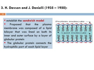 Unit 4-STRUCTURE & FUNCTION OF CELL MEMBRANE.ppt