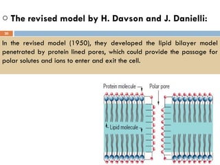 Unit 4-STRUCTURE & FUNCTION OF CELL MEMBRANE.ppt