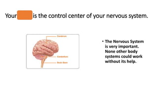 Unit 4 the nervous system | PPTX | Brain and Nervous System Disorders ...
