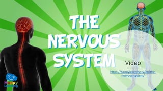 Unit 4 the nervous system | PPTX | Brain and Nervous System Disorders ...