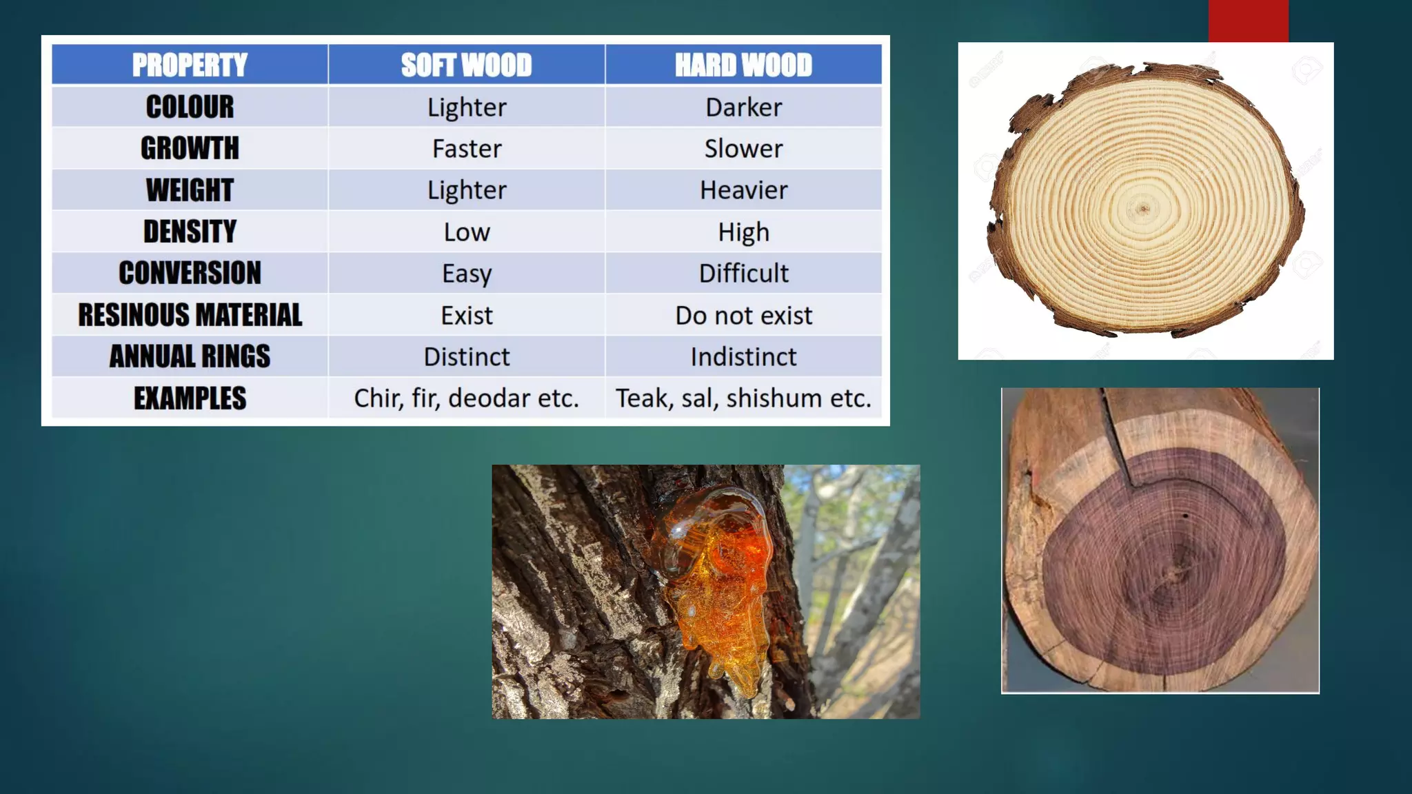 Timber | PPT