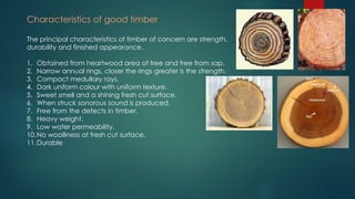 Timber | PPT