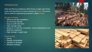 Timber | PPT