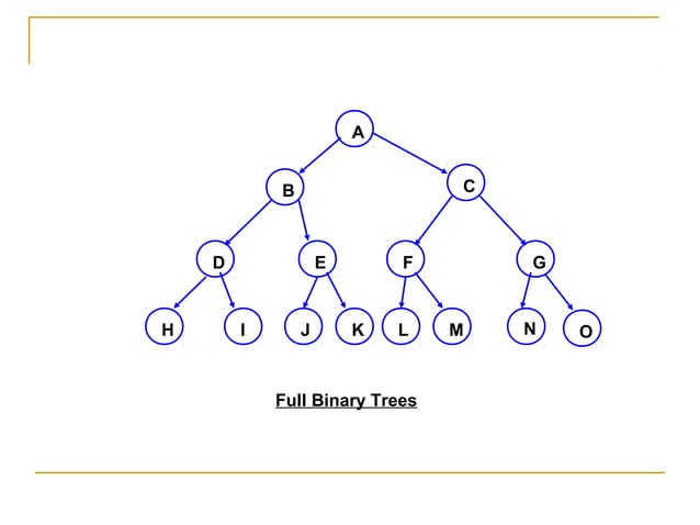 Unit 4 tree | PPT