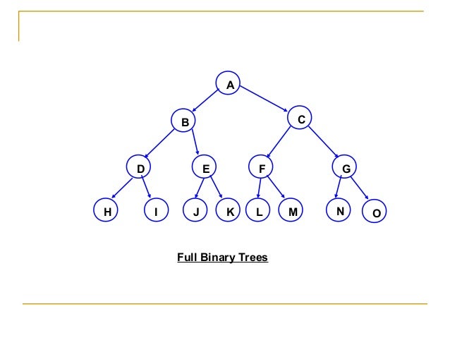 Unit 4 tree