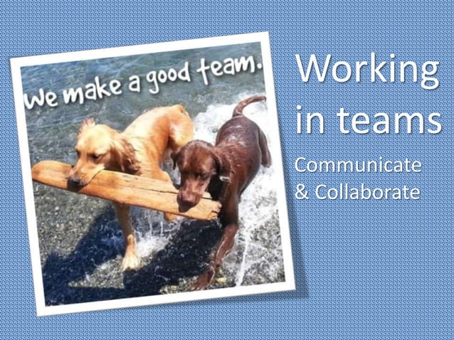Unit 4 - working in teams | PPT