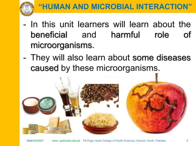 Human & microbial interaction | PPT