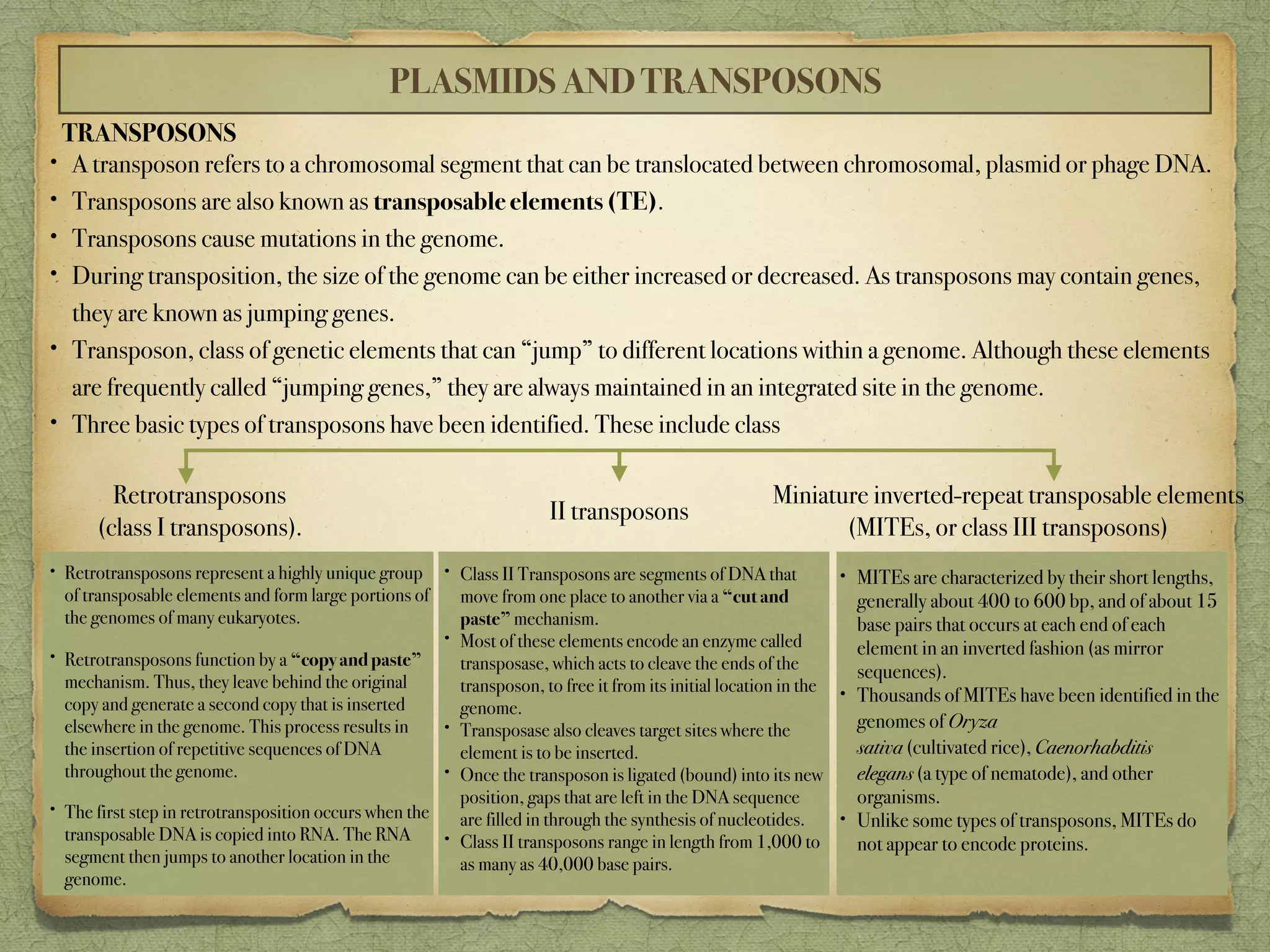 UNIT 4 Microbial genetics:Transformation,Transduction,Conjugation ...