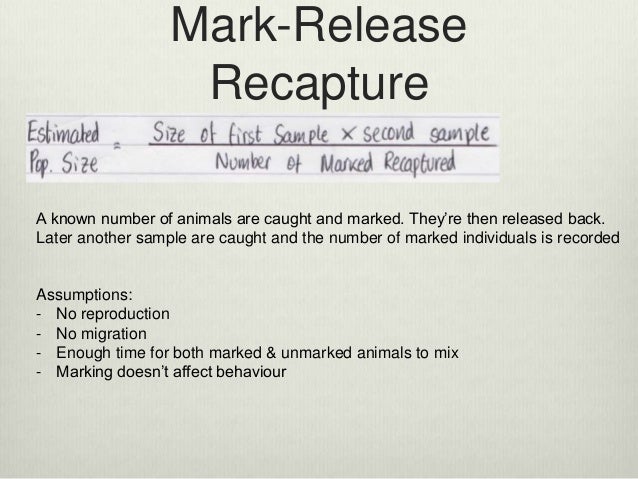 Unit 4 A2 Biology Notes AQA