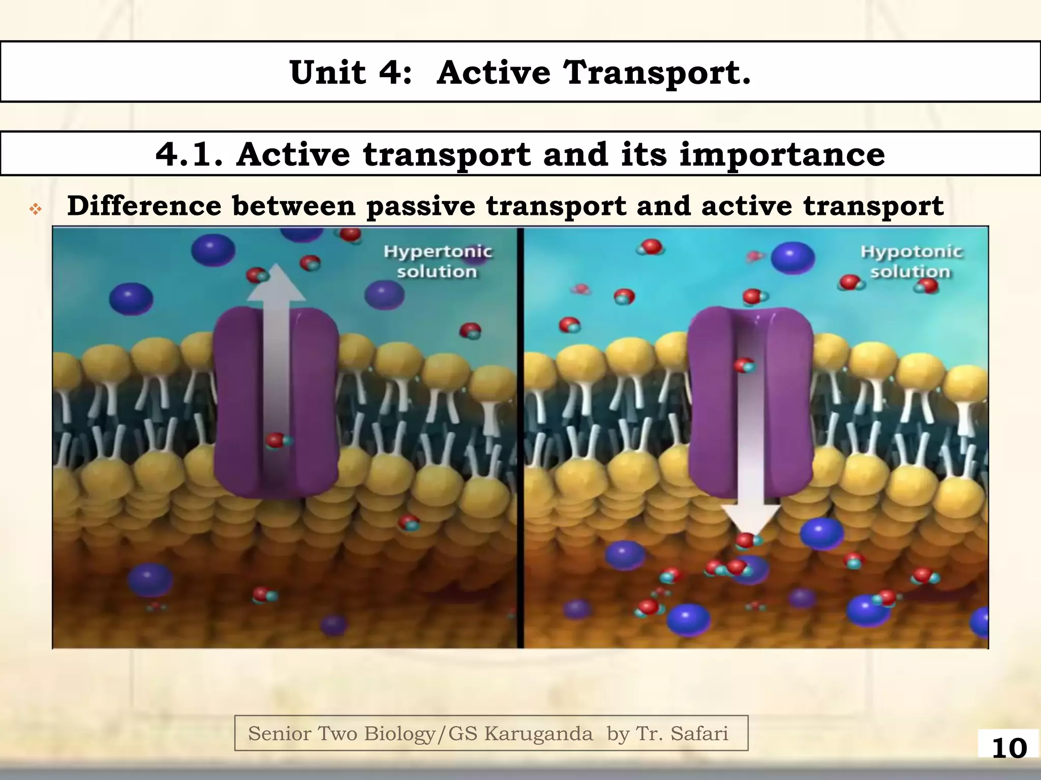 Unit 4 Active transport.pdf