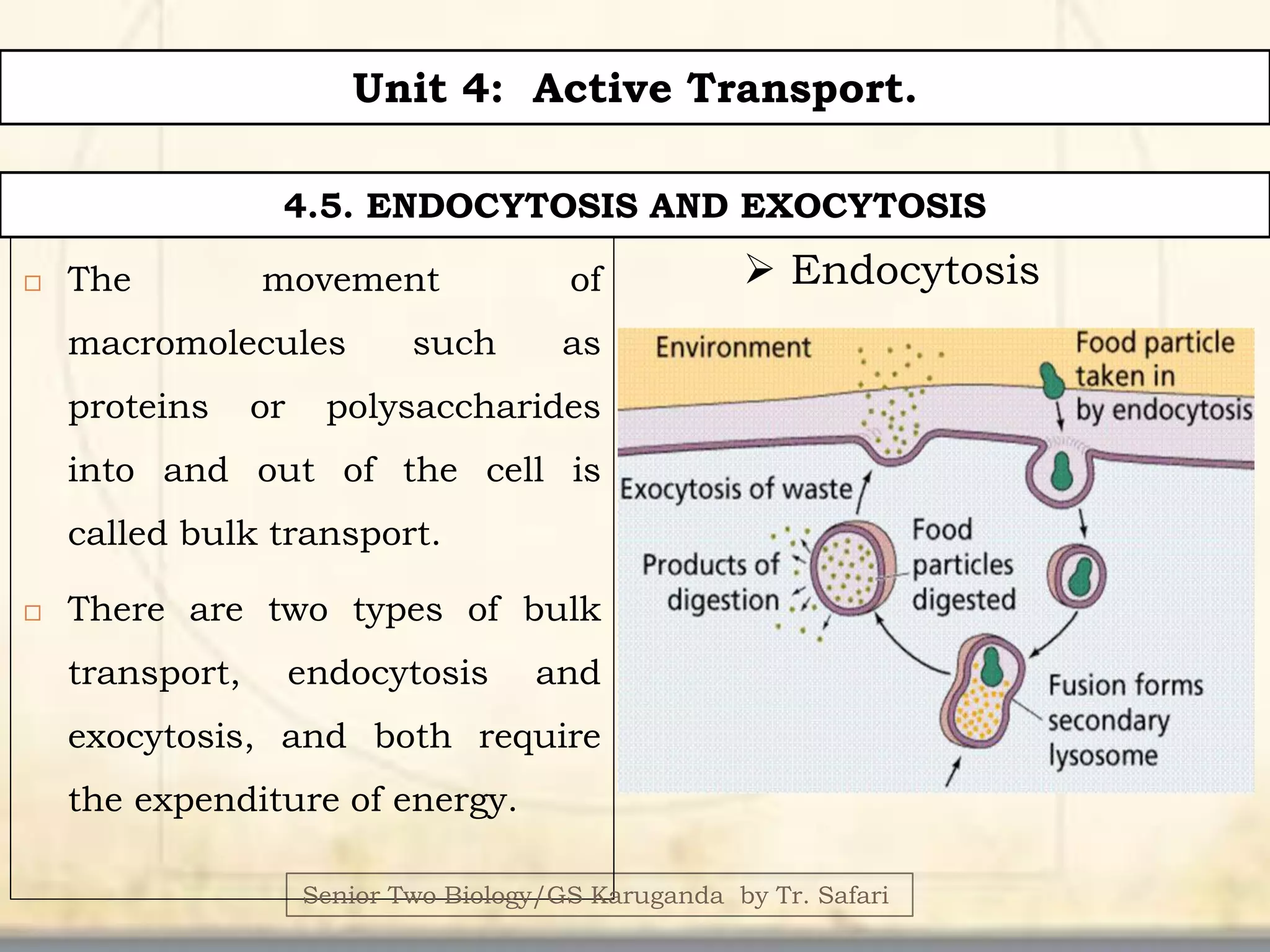Unit 4 Active transport.pdf