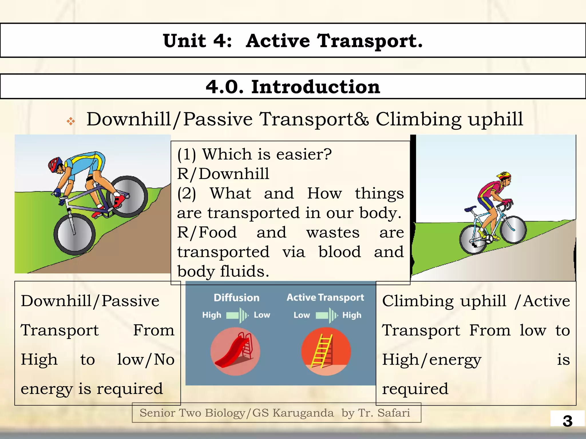 Unit 4 Active transport.pdf