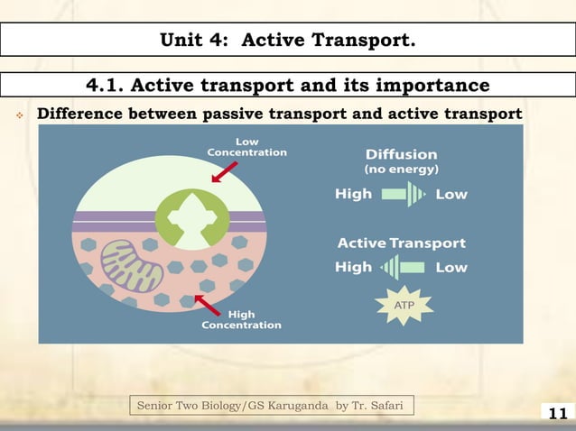 Unit 4 Active transport.pdf | Physics | Science