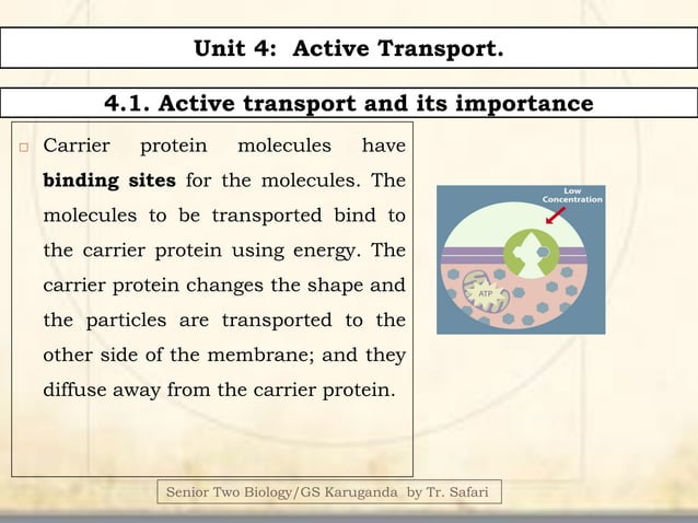 Unit 4 Active transport.pdf | Physics | Science