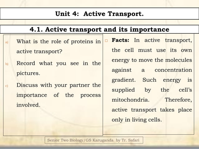 Unit 4 Active transport.pdf | Physics | Science