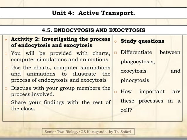 Unit 4 Active transport.pdf | Physics | Science