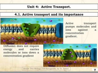 Unit 4 Active transport.pdf