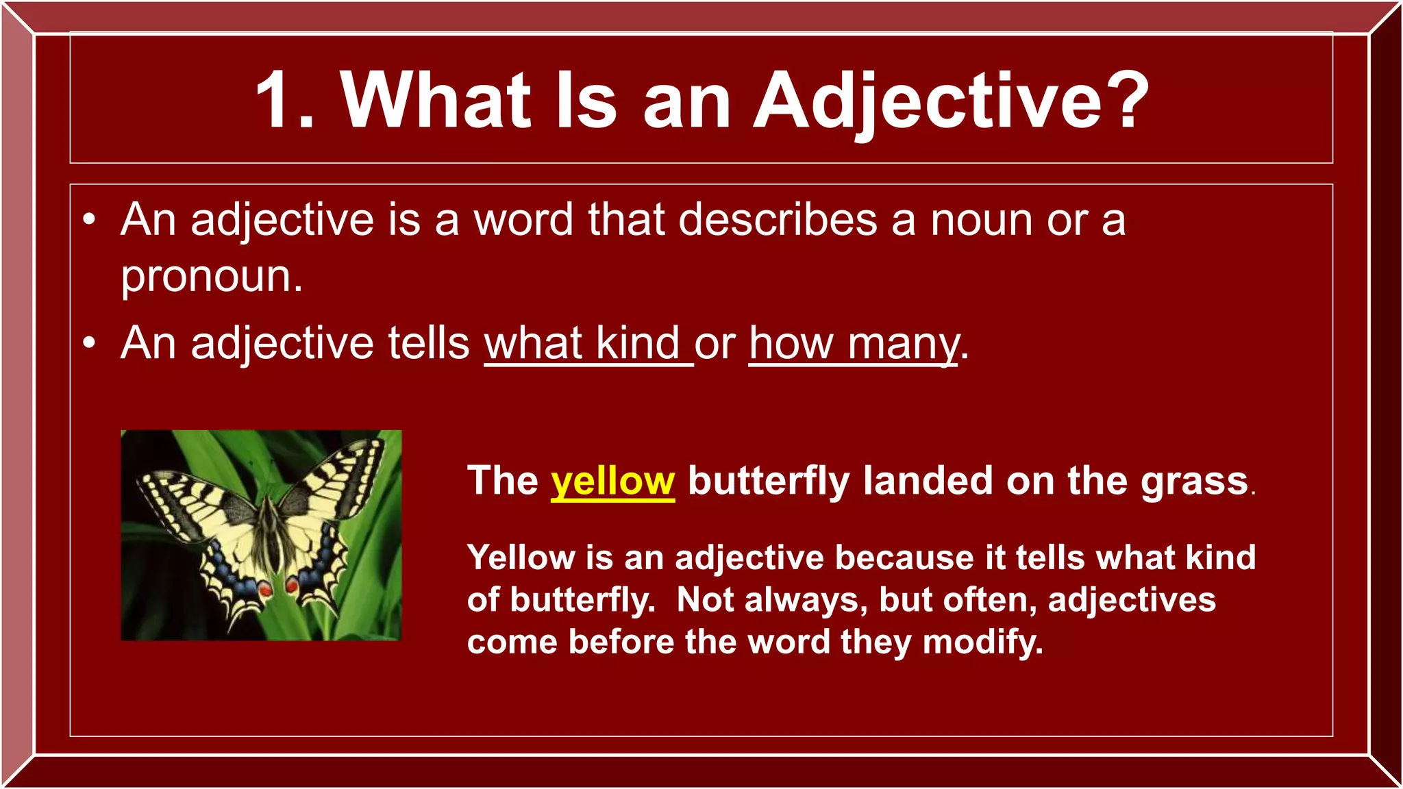Unit 4 Adjectives Extra Practice | PPTX