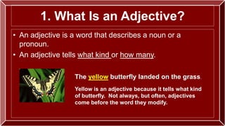 Unit 4 Adjectives Extra Practice | PPTX