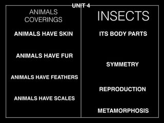 Unit 4 animals | PDF