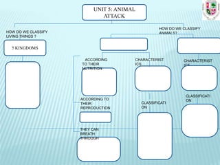 Unit 4 animals | PPTX