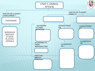 Unit 4 animals | PPTX