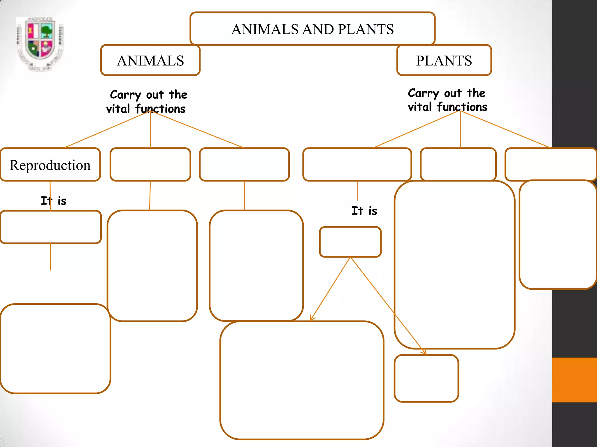 Unit 4 animals and plants | PPTX