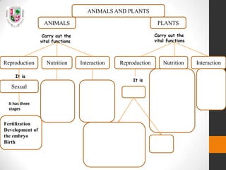 Unit 4 animals and plants | PPTX