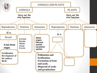 Unit 4 animals and plants | PPTX
