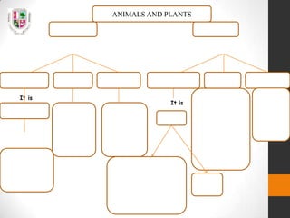 Unit 4 animals and plants | PPTX