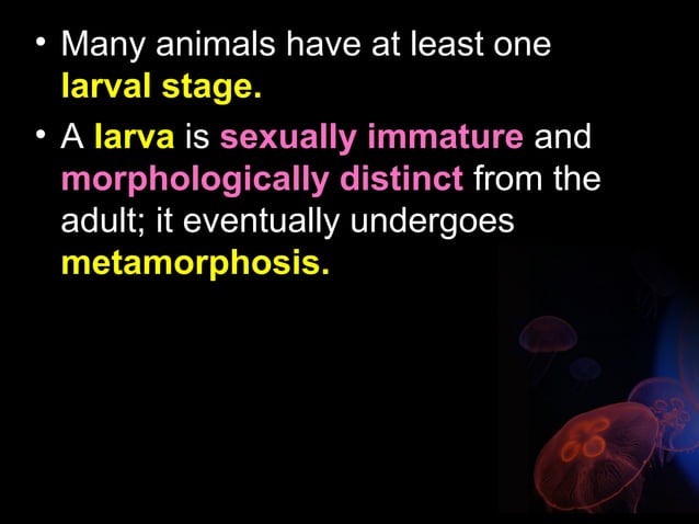 Unit 4 biodiversity of animals invertebrates | PPT