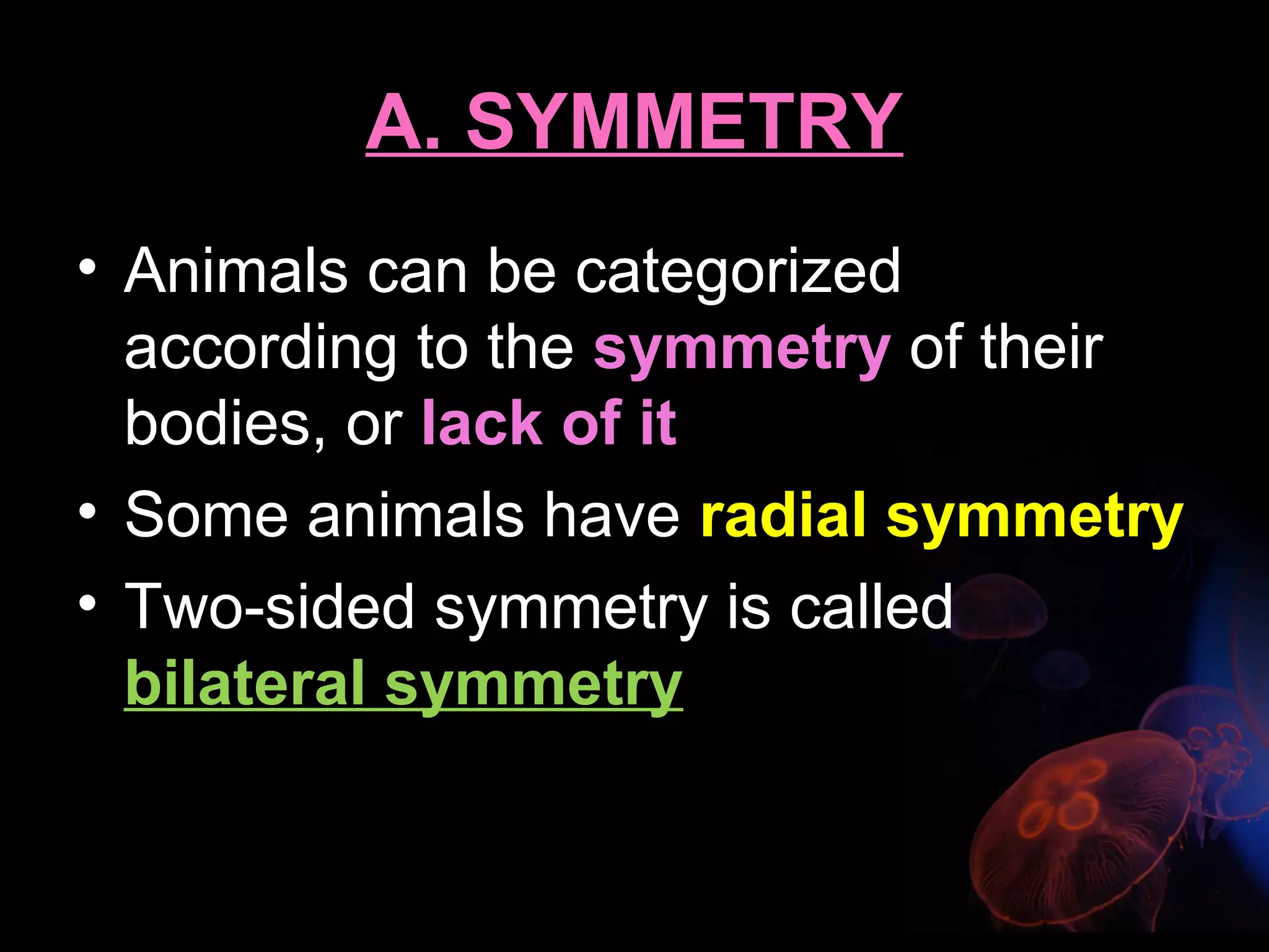 Unit 4 biodiversity of animals invertebrates | PPT