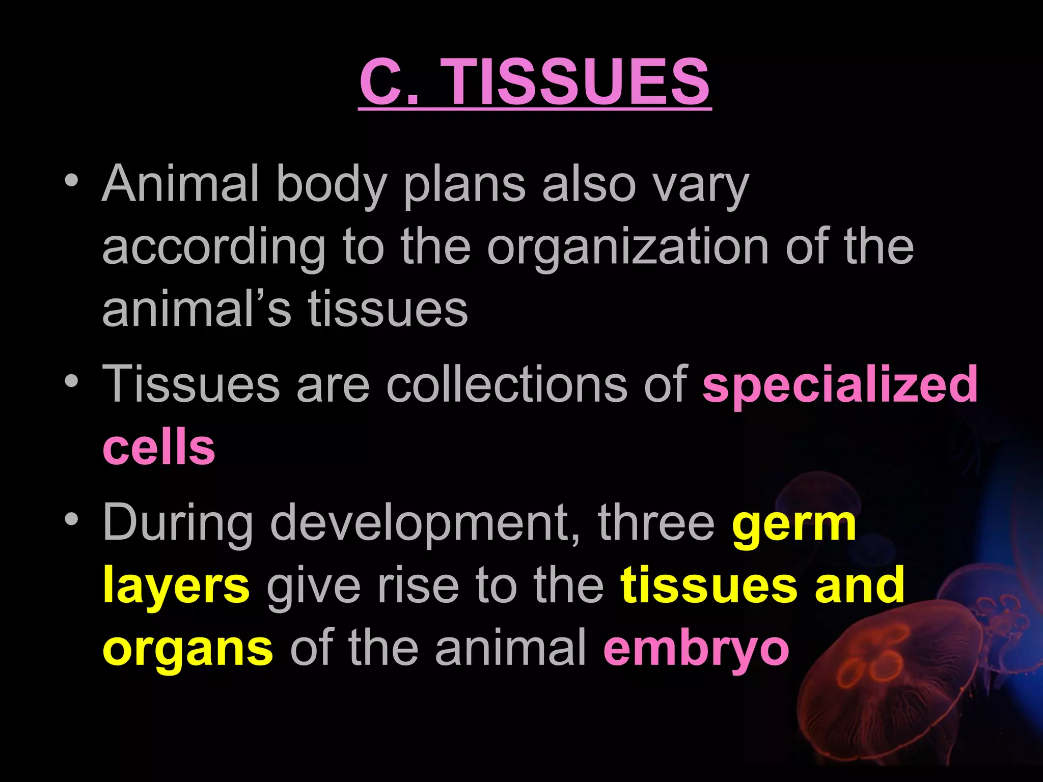 Unit 4 biodiversity of animals invertebrates | PPT