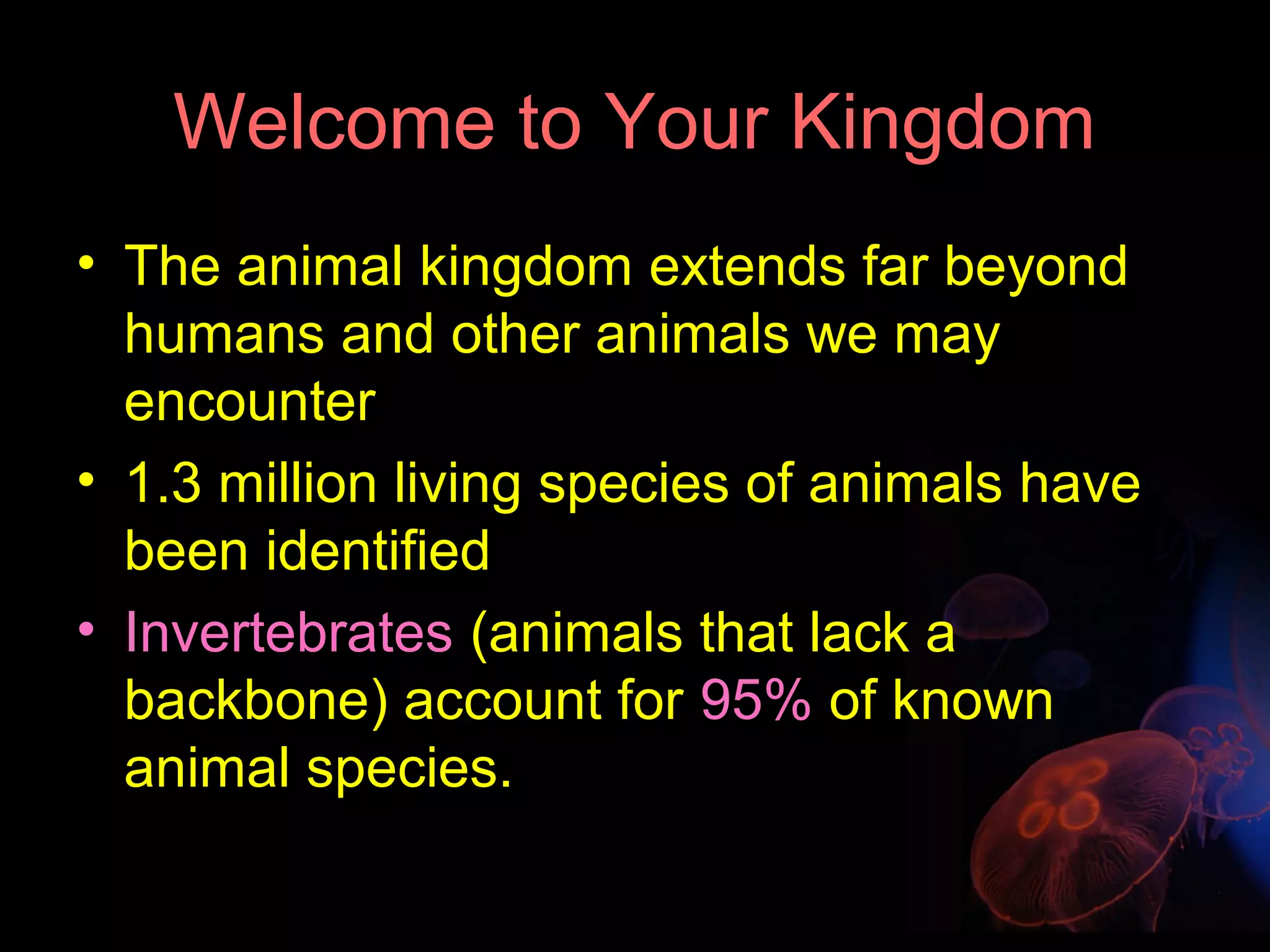 Unit 4 biodiversity of animals invertebrates | PPT