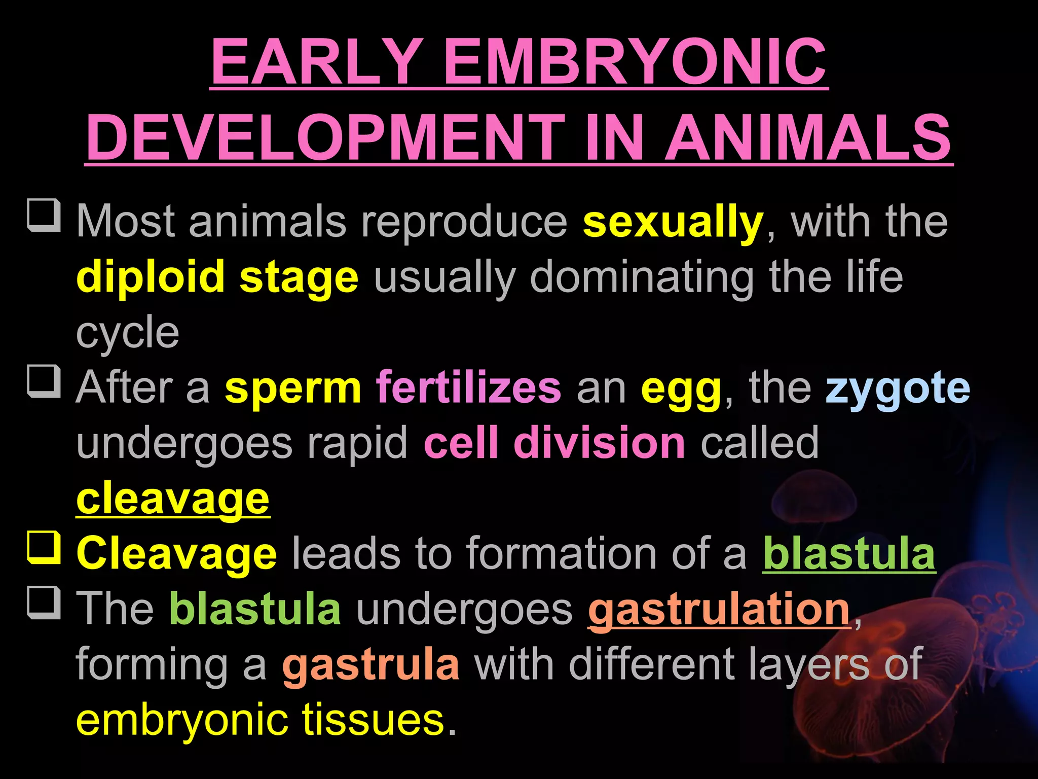 Unit 4 biodiversity of animals invertebrates | PPT
