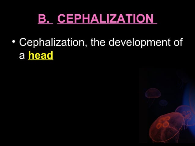 Unit 4 biodiversity of animals invertebrates | PPT