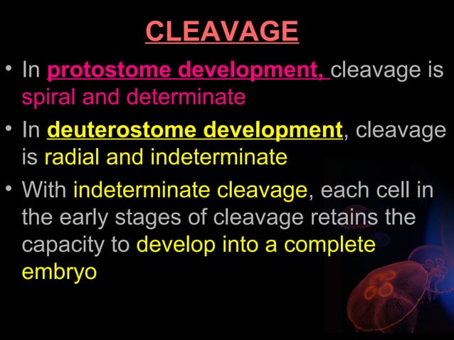 Unit 4 biodiversity of animals invertebrates | PPT
