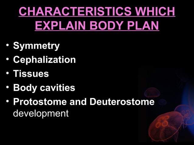 Unit 4 biodiversity of animals invertebrates | PPT