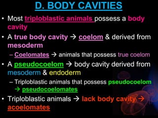 BIODIVERSITY OF ANIMALS INVERTEBRATES Lecture 2.ppt