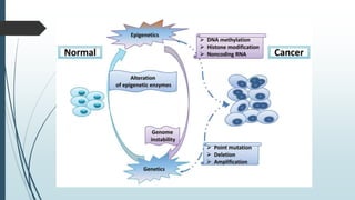 Cancer Biology: Tumor Formation, Molecular mechanism | PPT